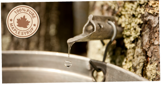 Maple Syrup – Maple Sugar - Organic Maple Syrup | MapleSyrupWorld